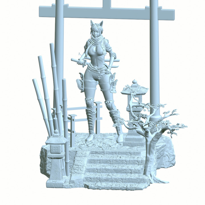 3D Printable Neko Assassin (2Poses, 3 Heads)+NSFW + Detailed Base by ...