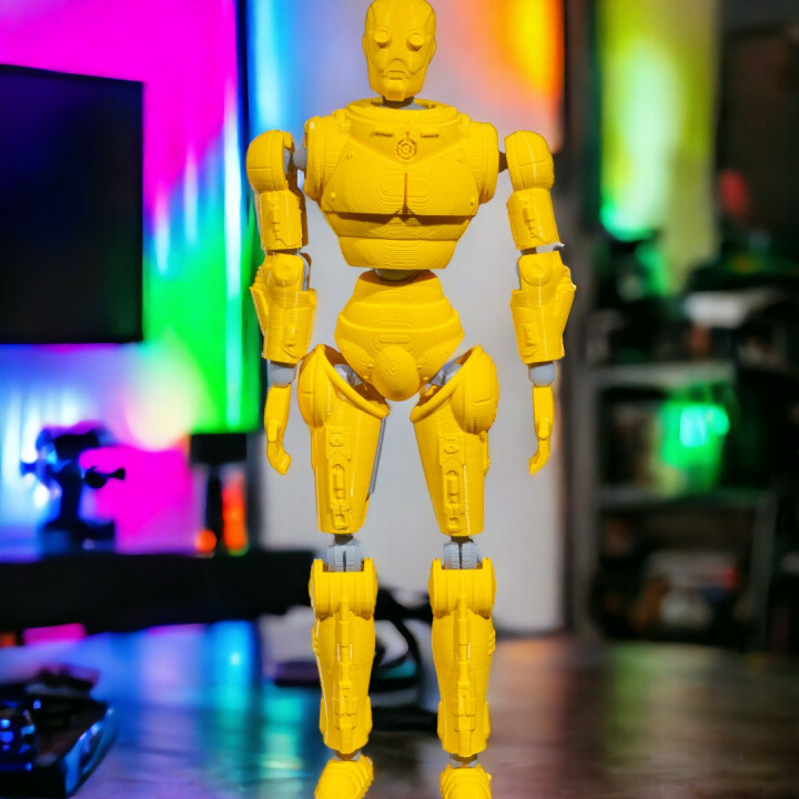 3D Printable RadFree Dummy - Tall by Stlflix