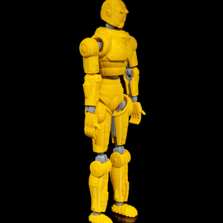 3D Printable RadFree Dummy - Tall by Stlflix