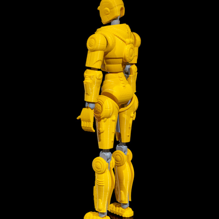 3D Printable RadFree Dummy - Tall by Stlflix