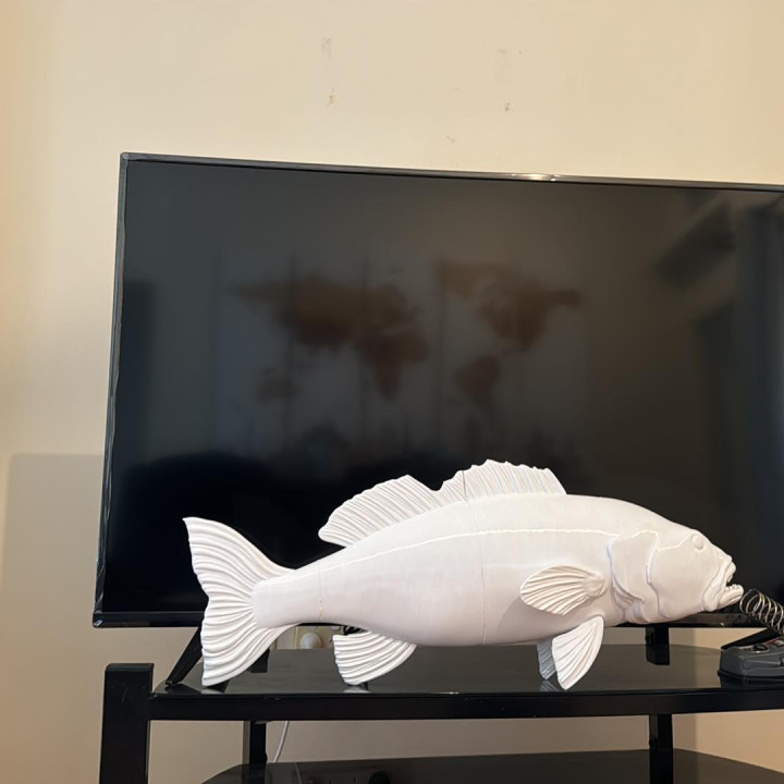 3D Printable Coral Trout by rhy rourke-haddow