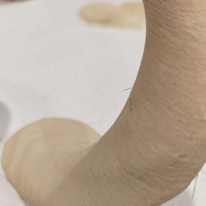 3D Printable Horns for Miniatures or Cosplay by Dim