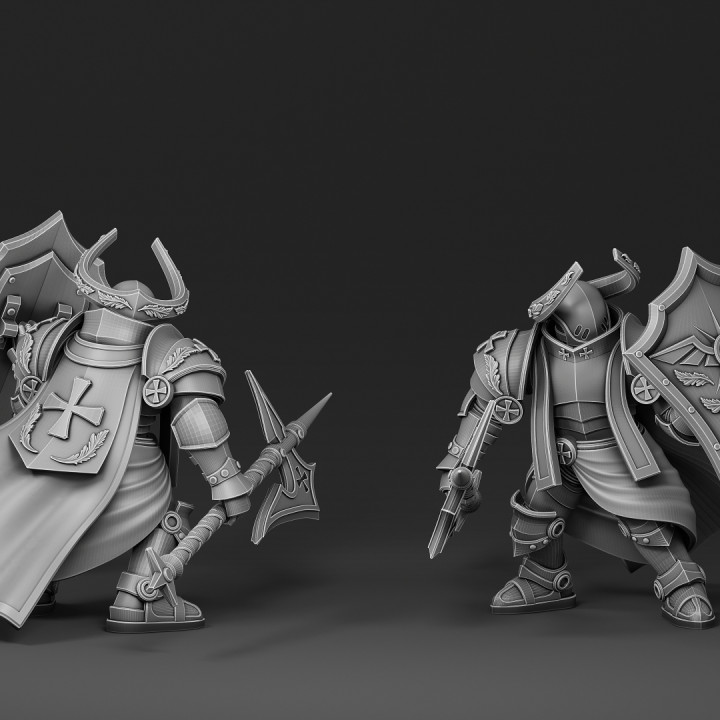 3D Printable Gilded Imperator - Loudout 1: Halberd and Heavy Shield by ...