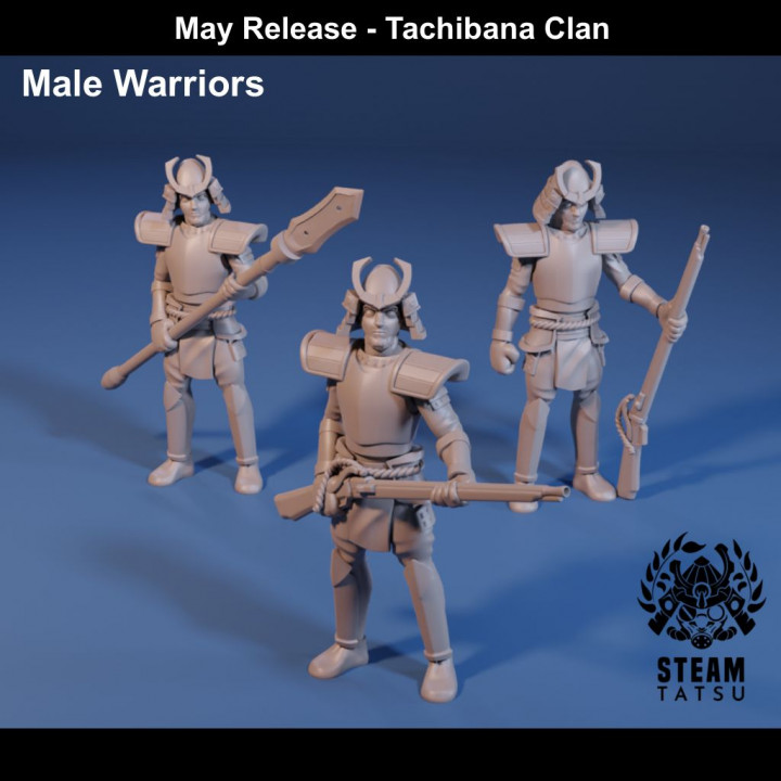 3D Printable Tachibana Clan - Male Warriors by Steam Tatsu