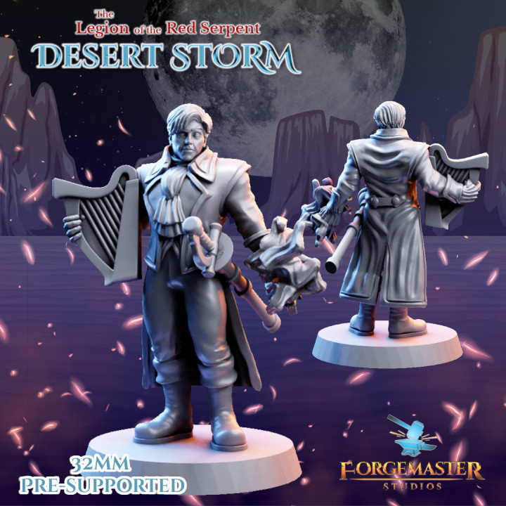 3D Printable Human Bard Sorcerer - Jason Nathaniel - Bard to the Red ...