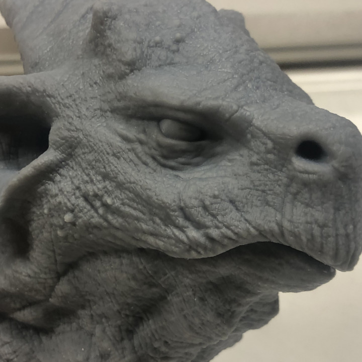 3D Printable FREE Creature Head sculpt by Seanachi SFX