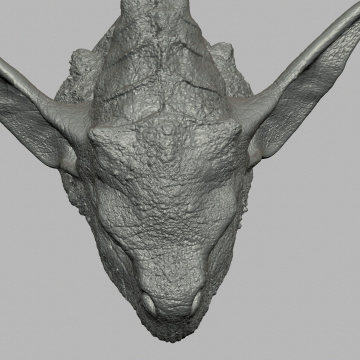 3D Printable FREE Creature Head sculpt by Seanachi SFX