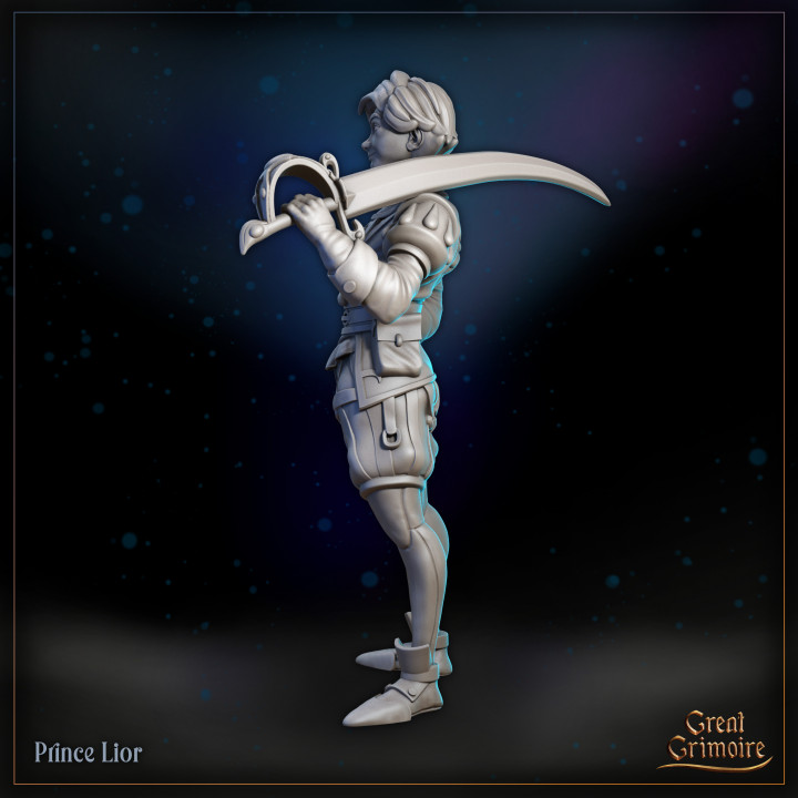 3D Printable Prince Lior by Great Grimoire