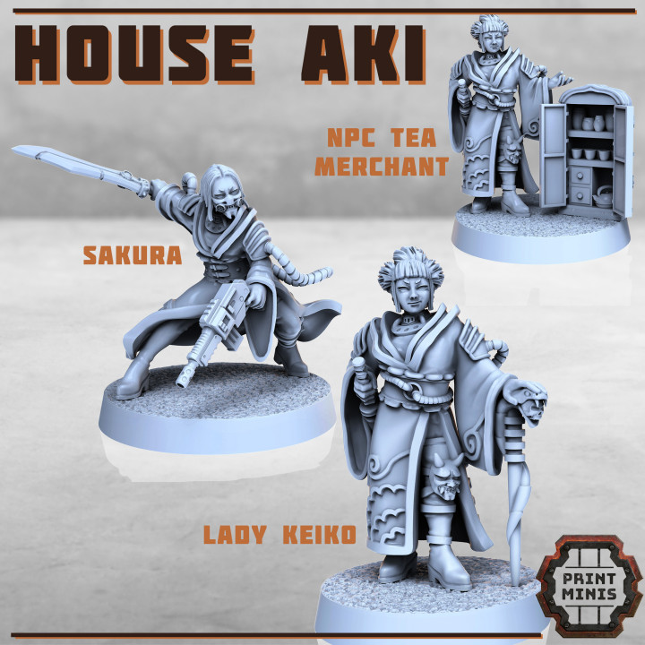 3D Printable Noble House Aki by Print Minis