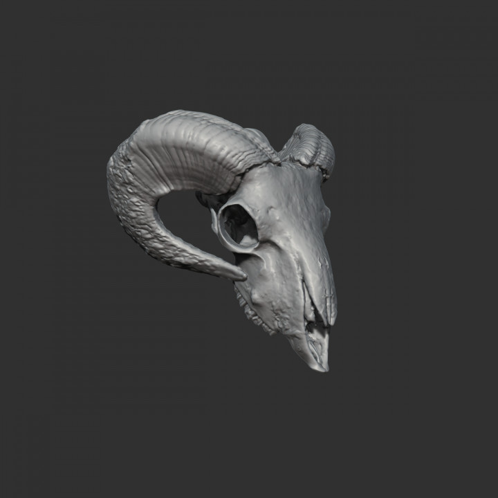 3D Printable Keychain, ram's skull by Aronon
