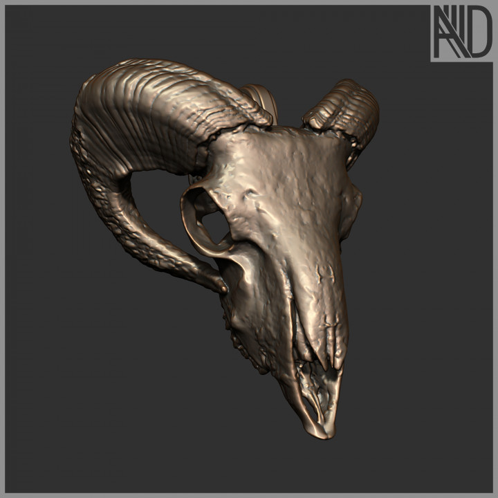 3D Printable Keychain, ram's skull by Aronon