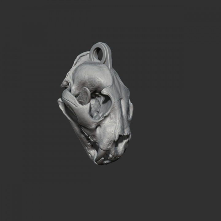 3D Printable Key chain, tiger skull by Aronon