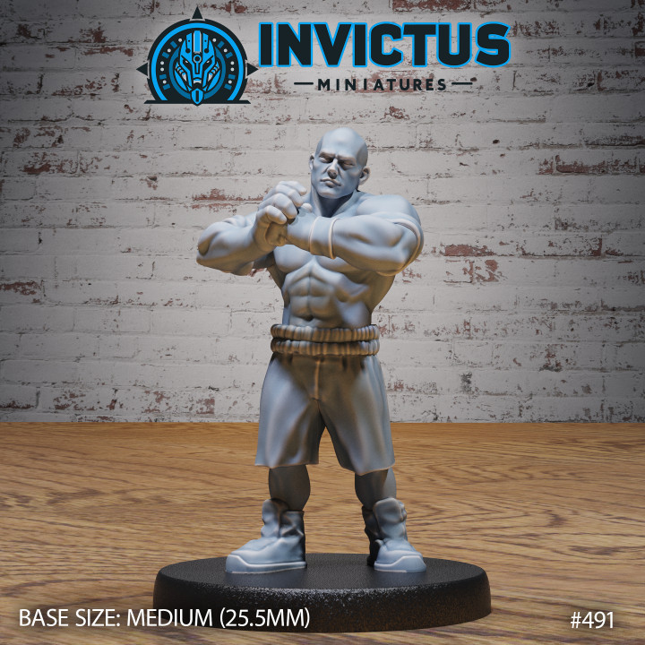 3D Printable Martial Art Master Set / Brave Fighter / Justice Seeker ...