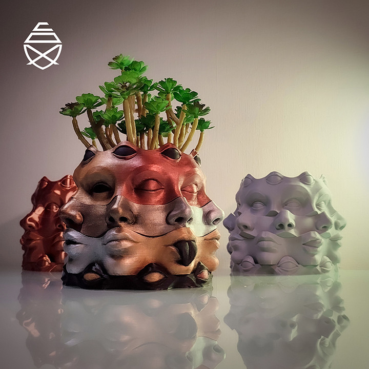 3D Printable MULTI FACE VASE by PipeCox