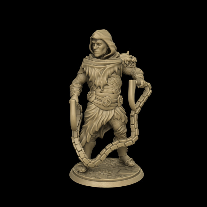 3D Printable Shadow Rogue Unmasked by MiniaturesCraze