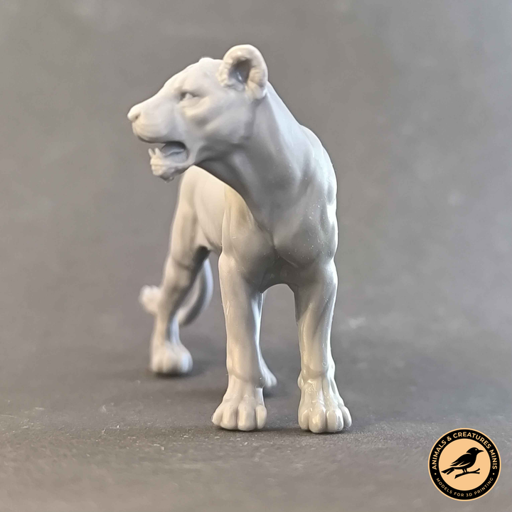 3D Printable Lioness by Animals & Creatures Minis