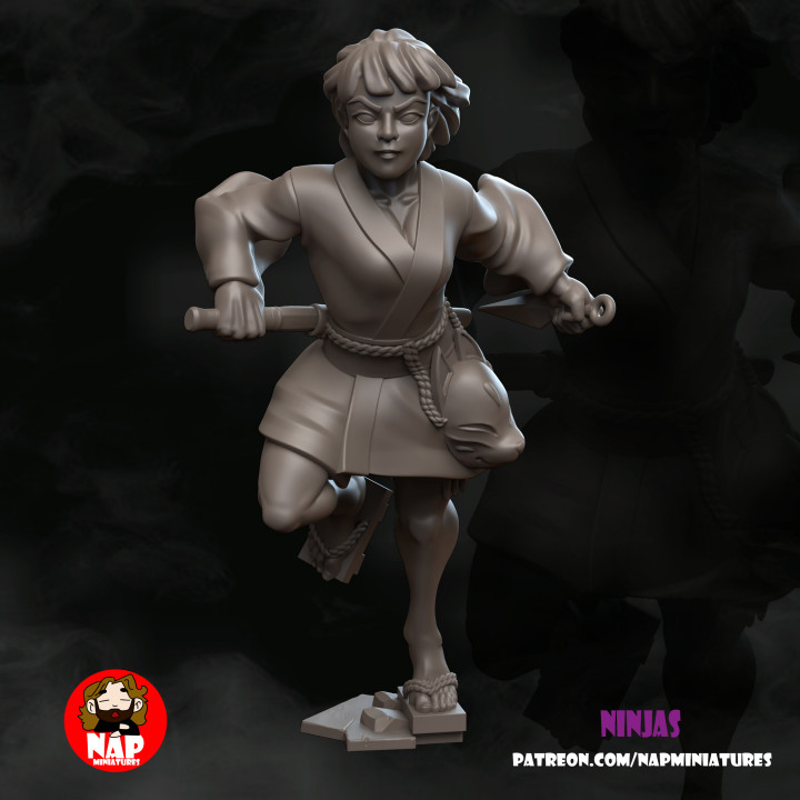 3D Printable Nap Miniatures - February Release - Ninjas by Nap ...