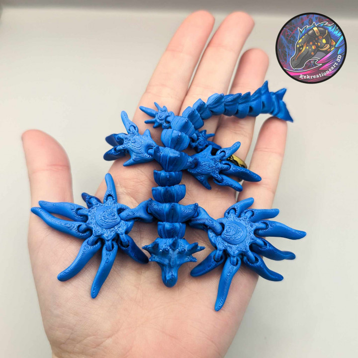 Download Blue Dragon Sea Slug (Blue Glaucus) Dragon von Kirsten M