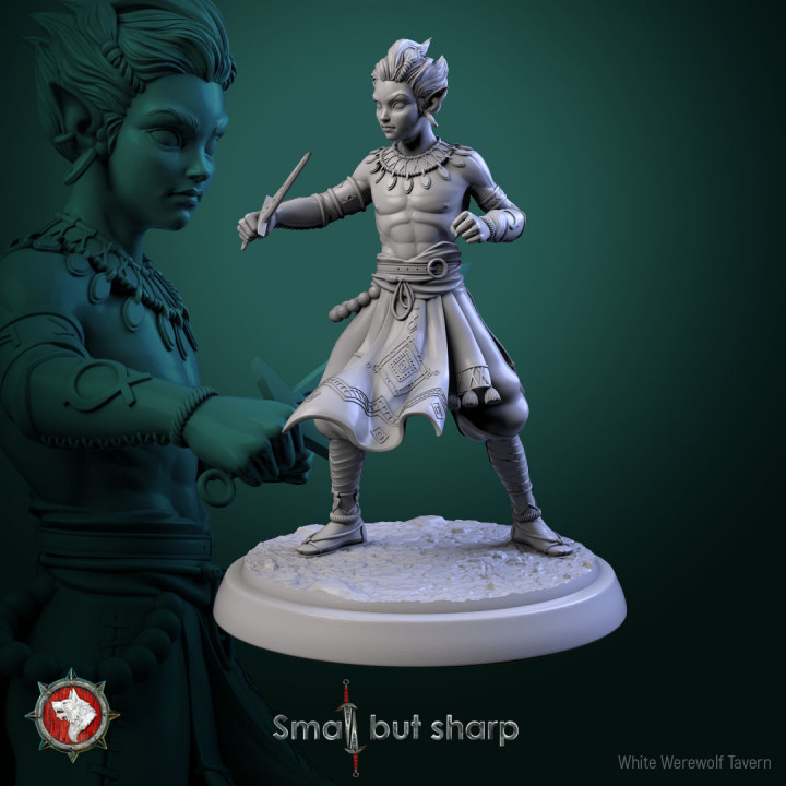 3D Printable Halfling Monks 32mm set 6 miniatures pre-supported by ...