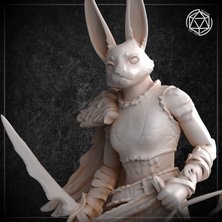 3D Printable Rabbitfolk Rogue by M3DM
