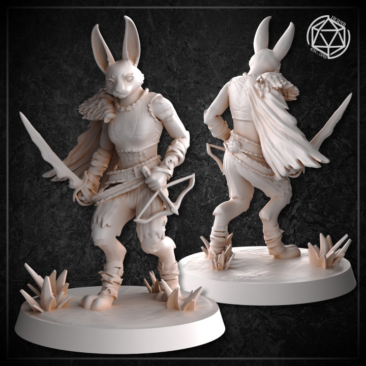 3D Printable Rabbitfolk Rogue by M3DM