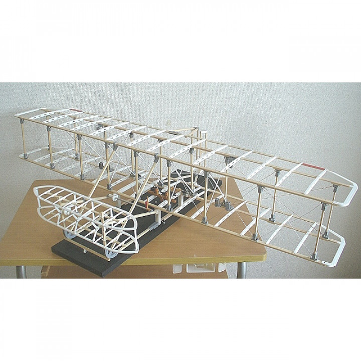 3D Printable Wright Flyer 1903, Control Wings, Study Model by Motoo Kondo