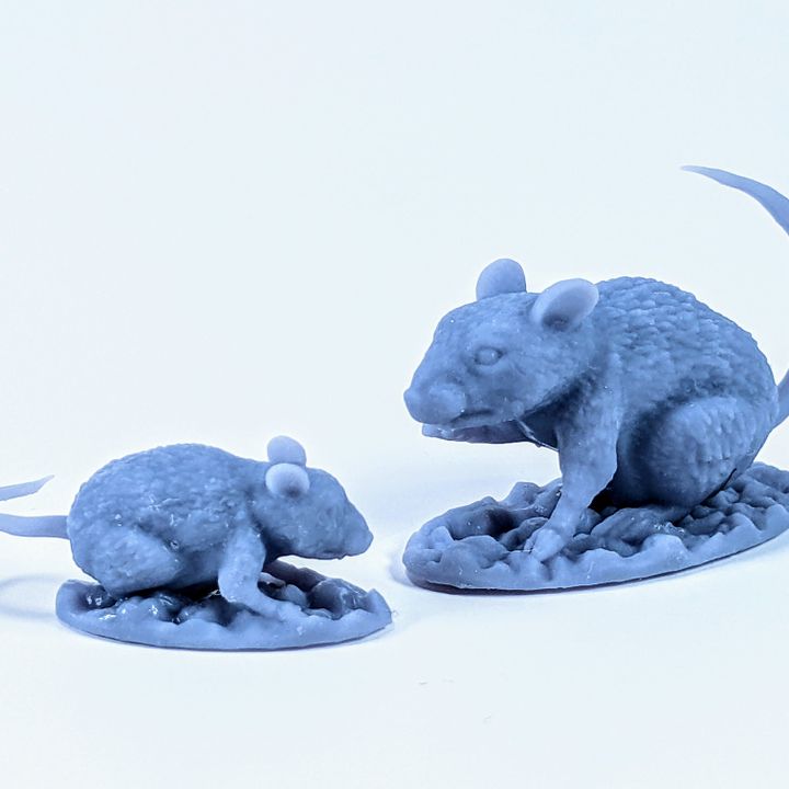 3D Printable Print 'N' Roll: Rats (Texture Roller and Terrain Set) by ...