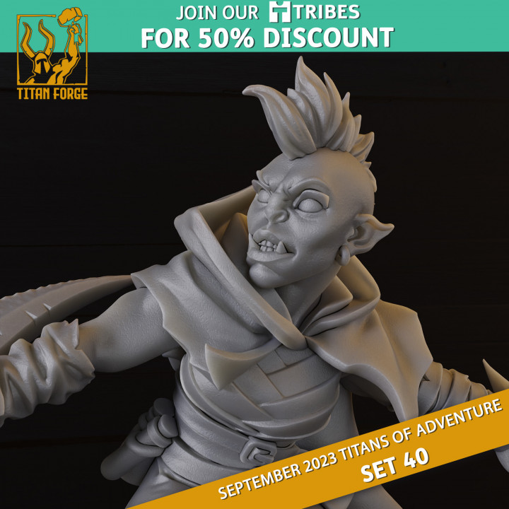 3D Printable Half-Orc Female Rogue - RPG Hero Character D&D 5e - Titans ...
