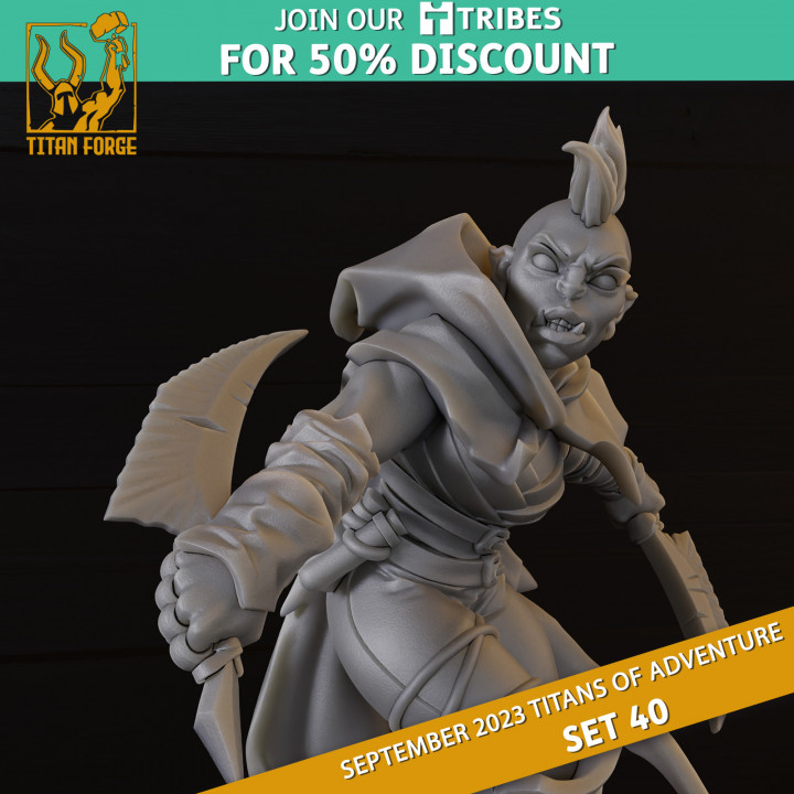 3D Printable Half-Orc Female Rogue - RPG Hero Character D&D 5e - Titans ...