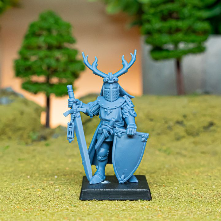 3D Printable Dismounted Gallia Duke 1 - Highlands Miniatures by ...