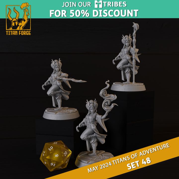 3D Printable Human Female Bladesinger - RPG Hero Character D&D 5e ...