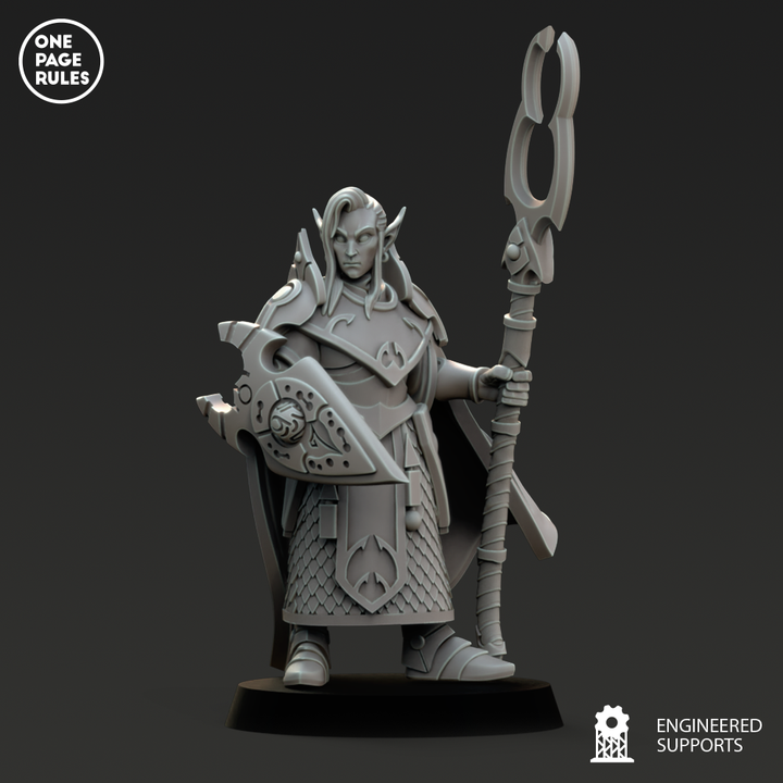 3D Printable Elven Noble (Guardian Cleric) - High Elf Fleets by One ...