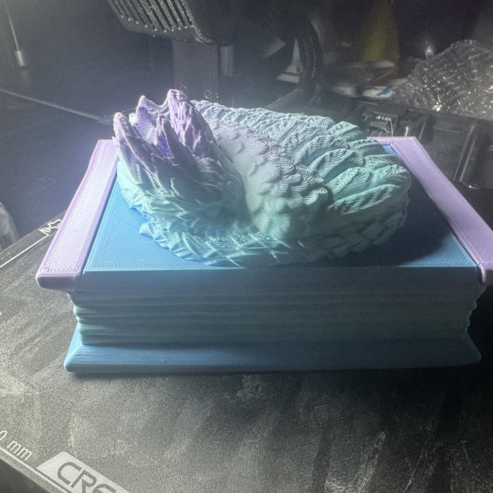 3D Print of Feather Dragon Book Box by CMuhamet