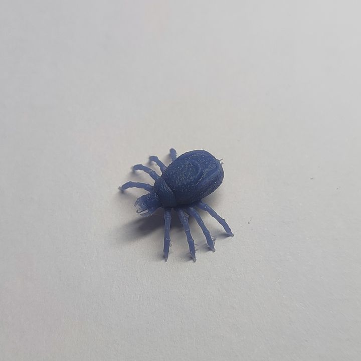 3D Printable Giant Tick by Armoured Up Minis