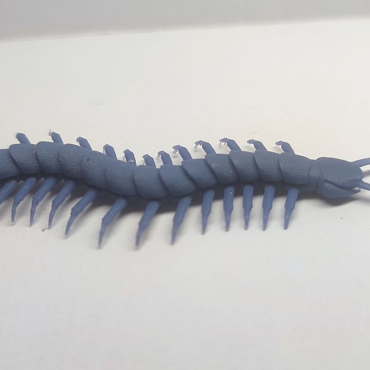 3D Printable Giant whiptail Centipede by Armoured Up Minis