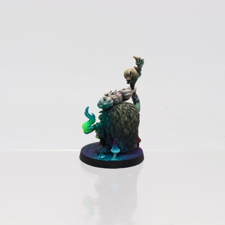 3D Printable [PDF Only] (Painting Guide) Derro Witch by Bite the Bullet