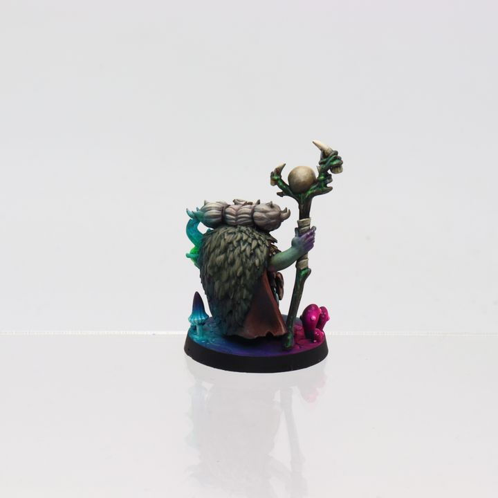 3D Printable [PDF Only] (Painting Guide) Derro Witch by Bite the Bullet