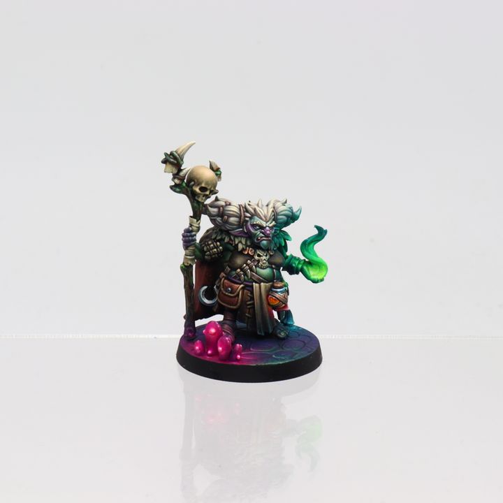 3D Printable [PDF Only] (Painting Guide) Derro Witch by Bite the Bullet