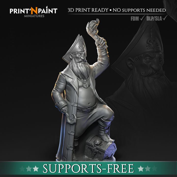 3D Printable Human Pirate Captain by Leonardo Escovar