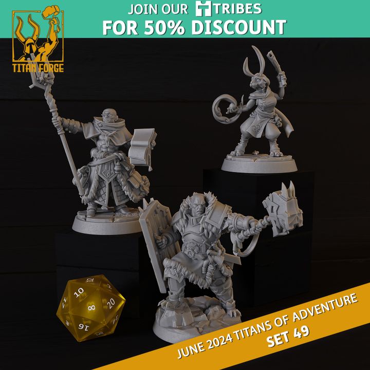 3D Printable RPG - DnD Hero Characters - Titans of Adventure Set 49 by ...