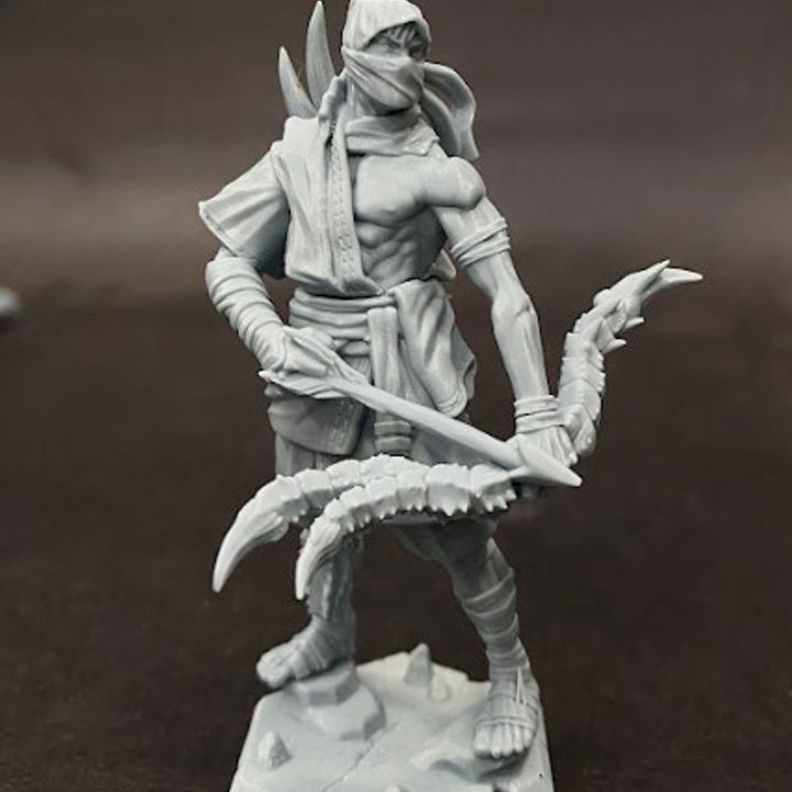 3D Printable Yin - Najra Set by Dragun Studios