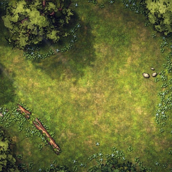 3D Printable Forest Clearing Map by Rhasmus Battlemaps