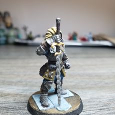 3D Printable Vanguard Fighters Guild (Complete Set - 62) by Artisan Guild