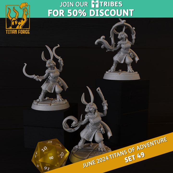 3D Printable Rabitfolk Female Monk - RPG Hero Character D&D 5e - Titans ...