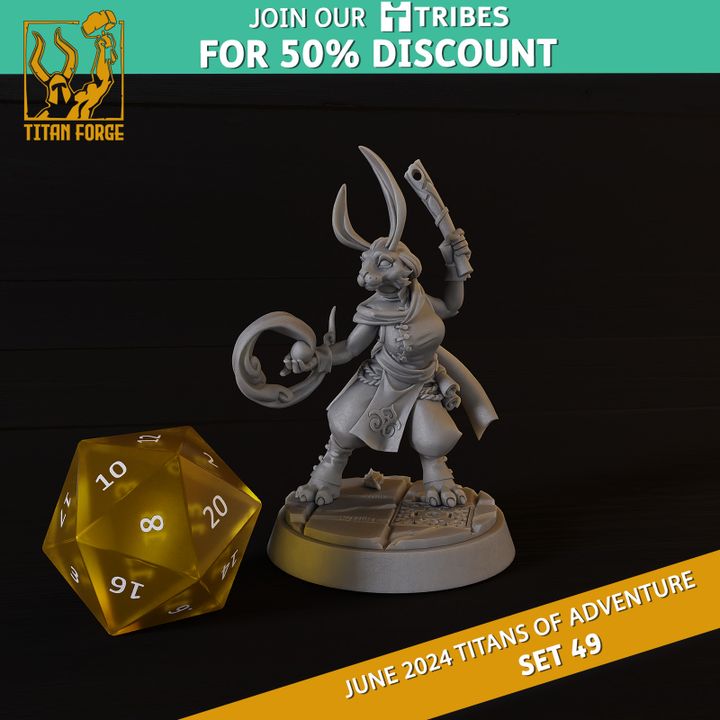 3D Printable Rabitfolk Female Monk - RPG Hero Character D&D 5e - Titans ...