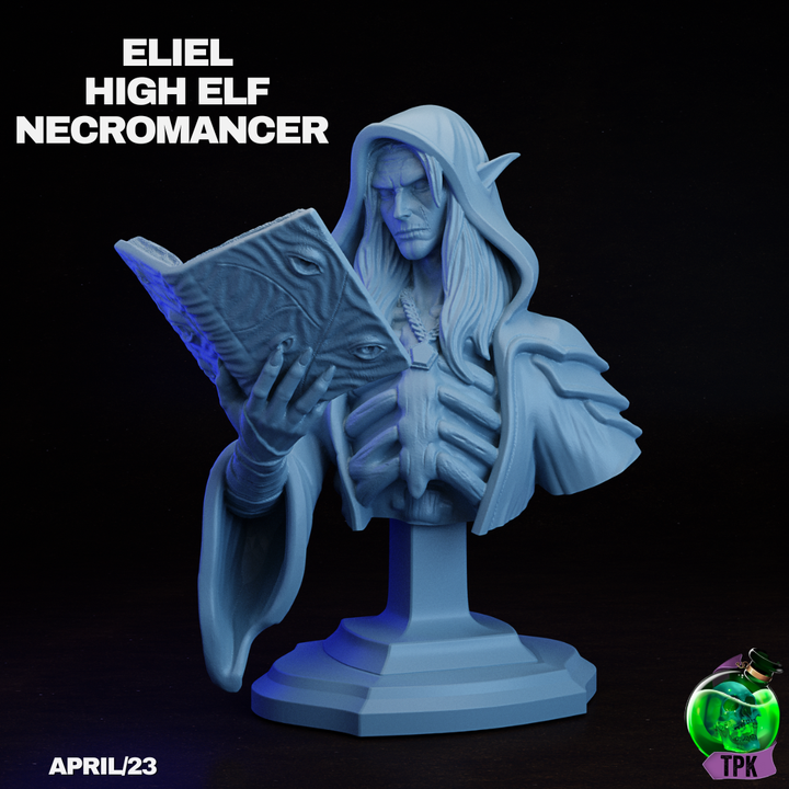 3D Printable Eliel High Elf Necromancer by TPK Lab