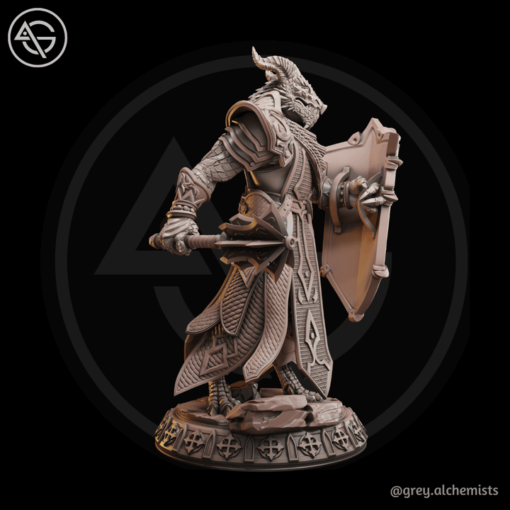 Descargar Dralag the Dragonborn Paladin, DnD Miniatures - Fantasy ...