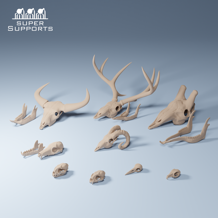 3D Printable Animal skulls 1-10 by The King of Bits