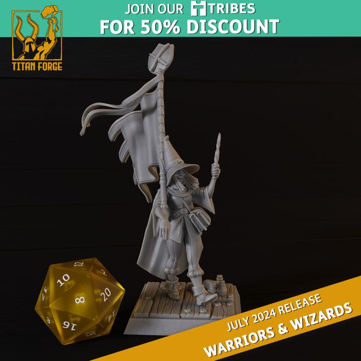 3D Printable Warriors and Wizards Wizards Apprentices by Titan Forge Miniatures