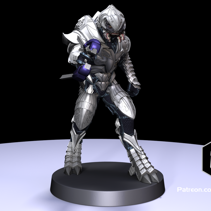 3D Printable 1:48 Scale Halo Arbiter Miniatures - 3D Print Files by ...